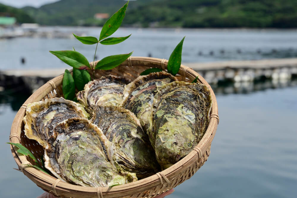 愛南岩かき Mサイズ 3kg – AINAN STAND