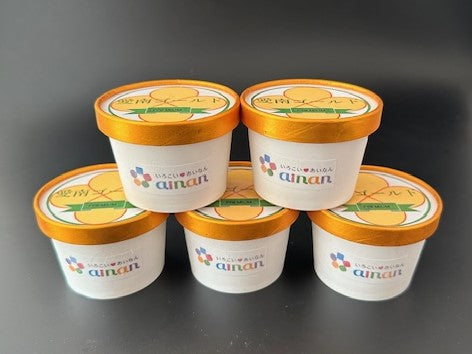 【道の駅みしょうMICオリジナル】愛南ゴールドアイスクリーム – AINAN STAND