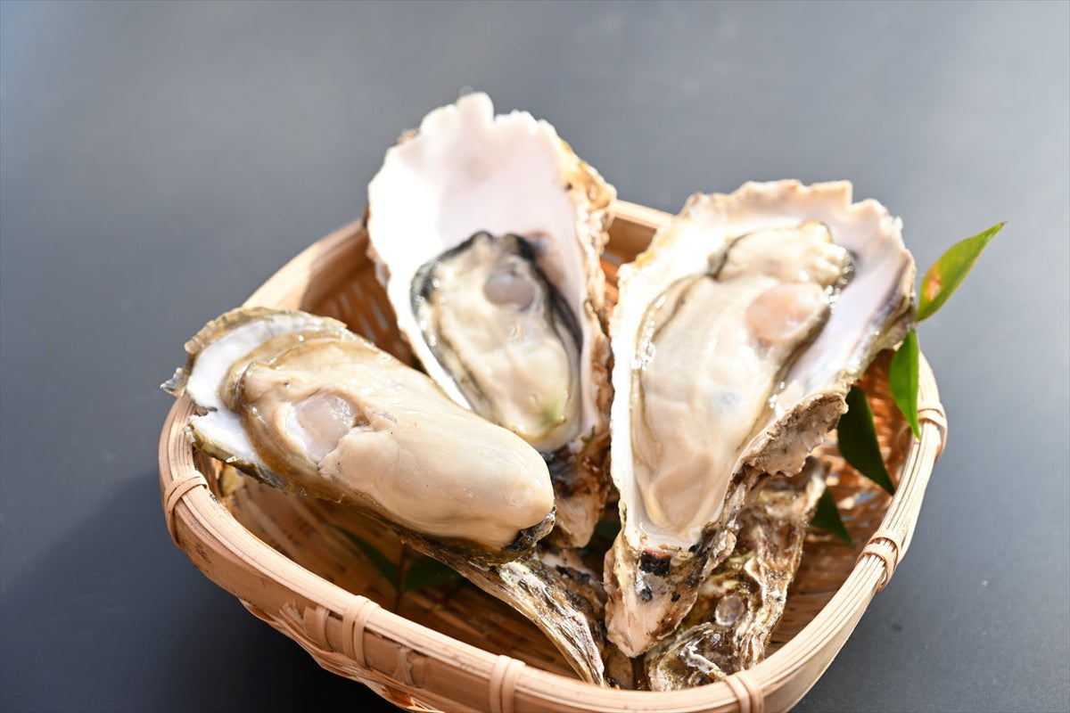 【売切】上甲商会のかき（愛南かき) Lサイズ3kg – AINAN STAND