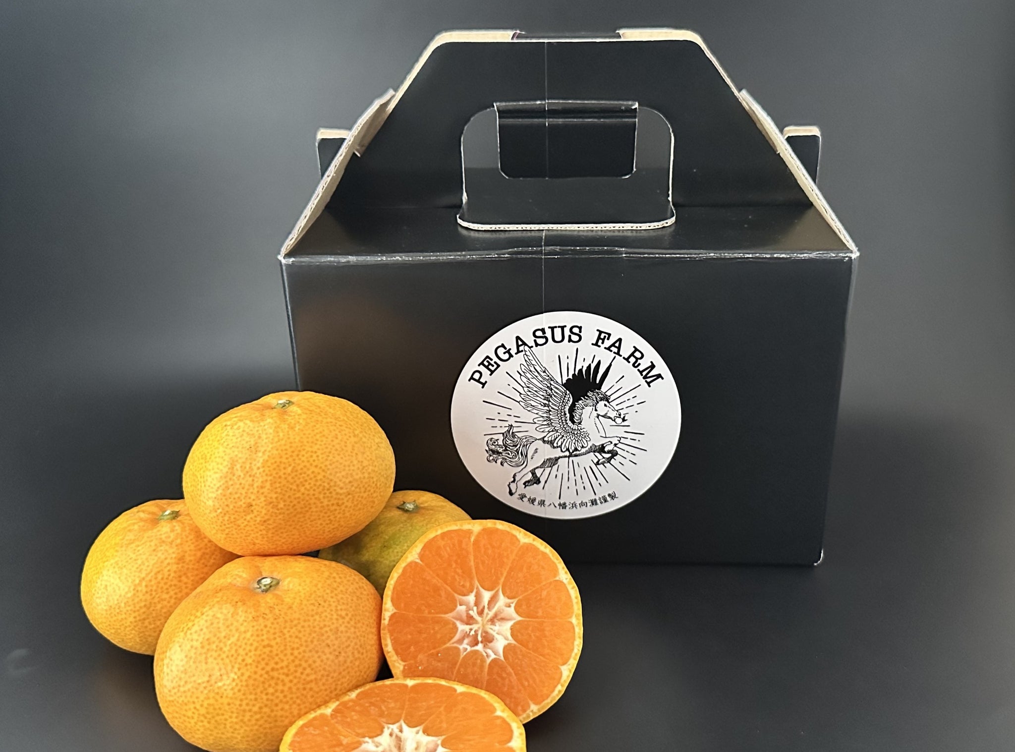 【ペガサスファーム】極早生みかん 1.5kg サイズミックス – AINAN STAND