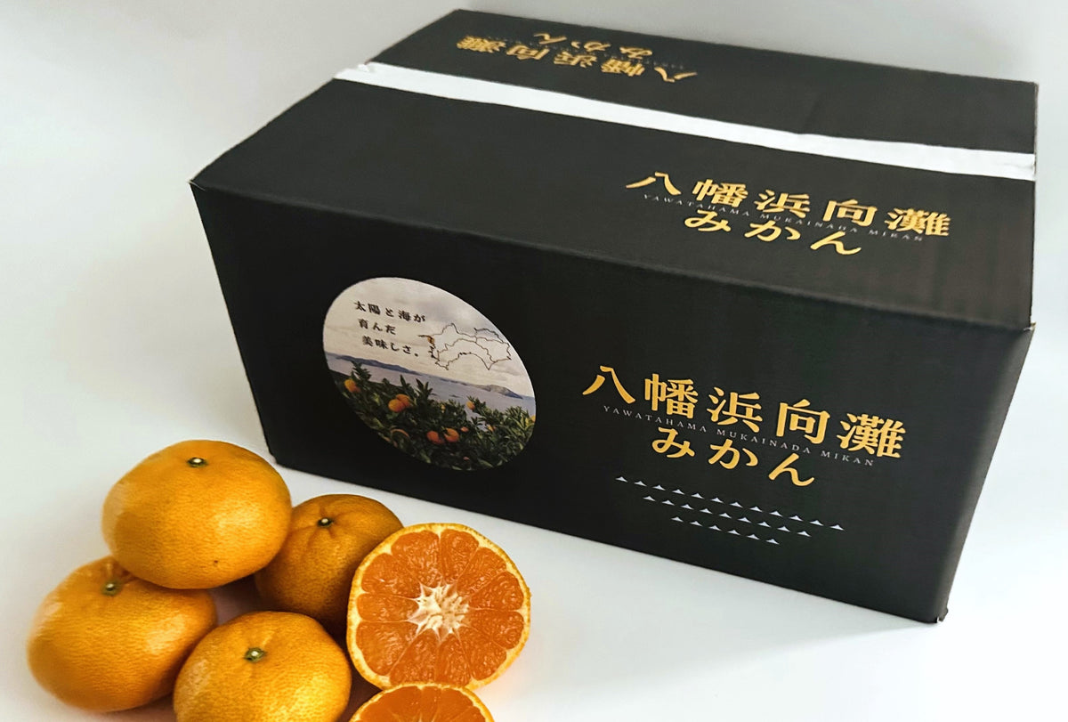 【ペガサスファーム】八幡浜向灘 極早生みかん 6.0kg サイズミックス – AINAN STAND