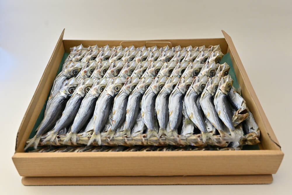 ウルメ丸干し – AINAN STAND